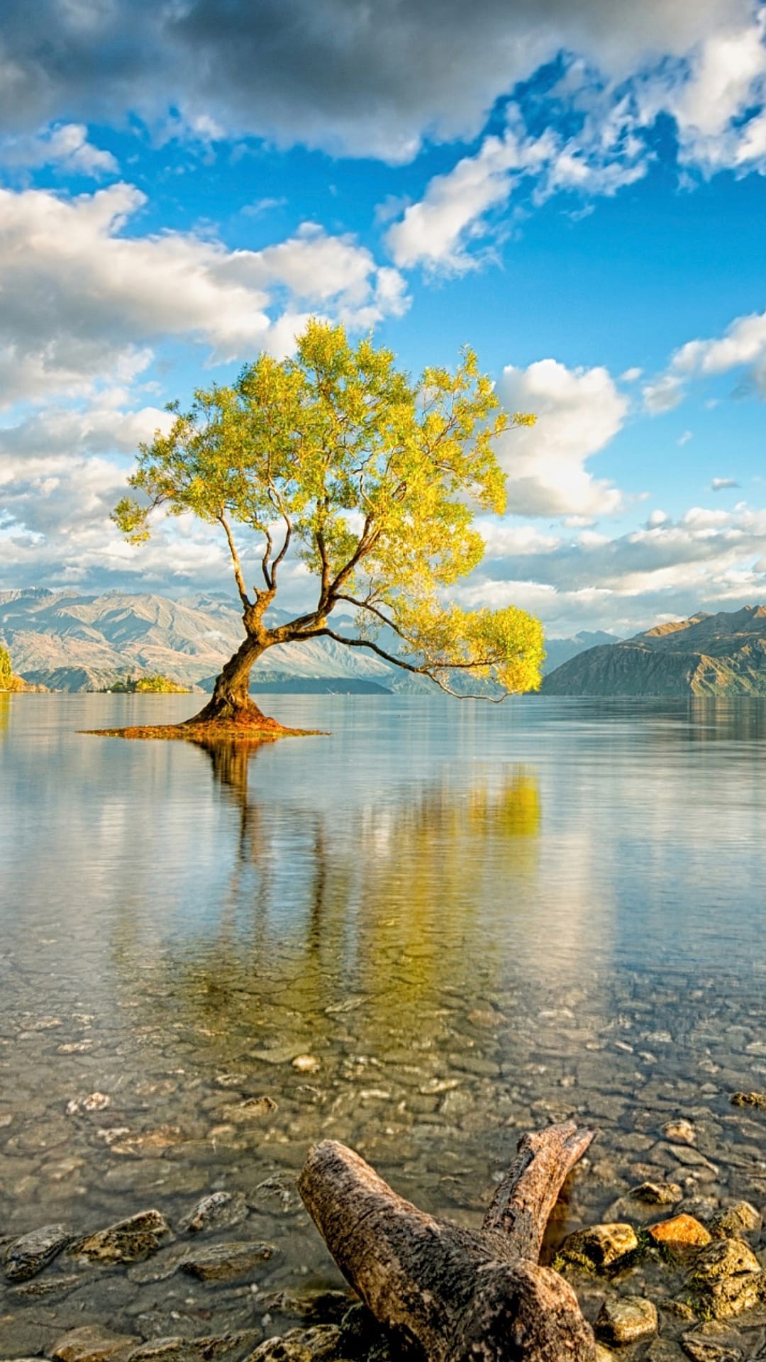 lake_and_tree | Design and Engineering