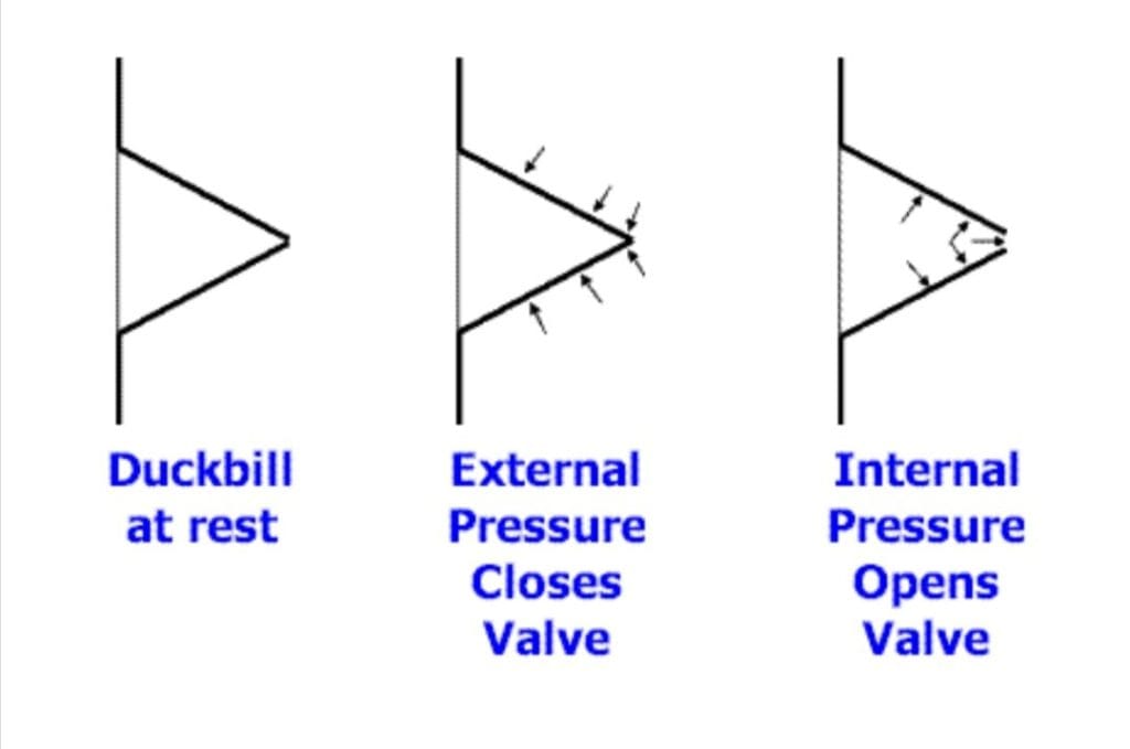 Duckbill Check Valve | Design and Engineering