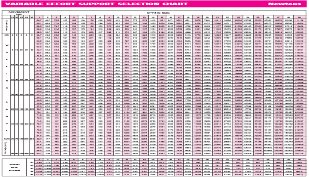 Spring Supports | Design and Engineering